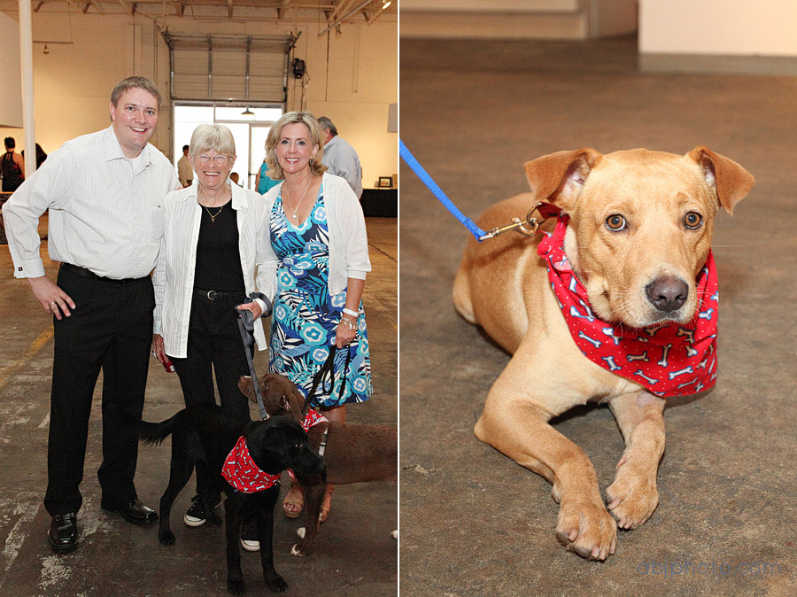 Atlanta Lab Rescue | Bark for Art Event - ABJ Photography Blog