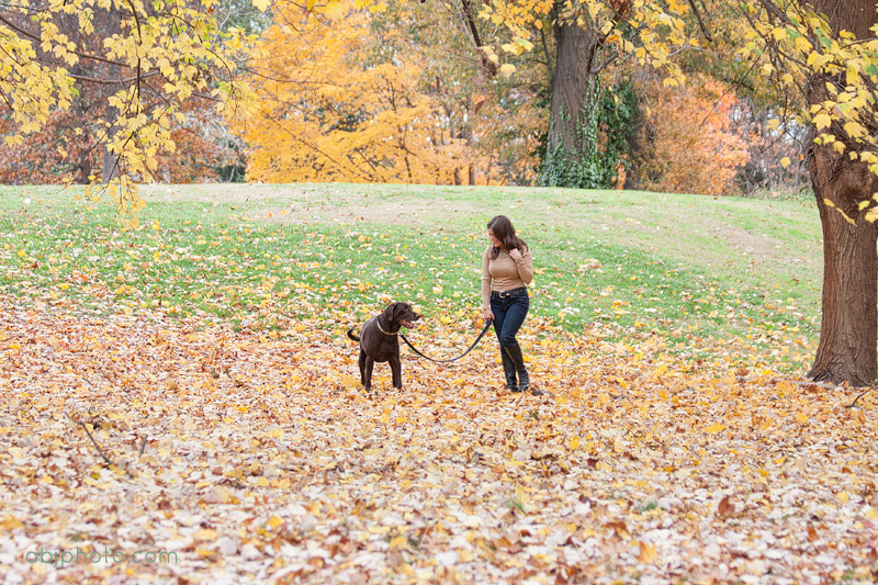 Dog Portraits Piedmont Park Atlanta | Alyssa + Winston - ABJ ...