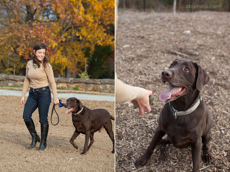Dog Portraits Piedmont Park Atlanta | Alyssa + Winston - ABJ ...