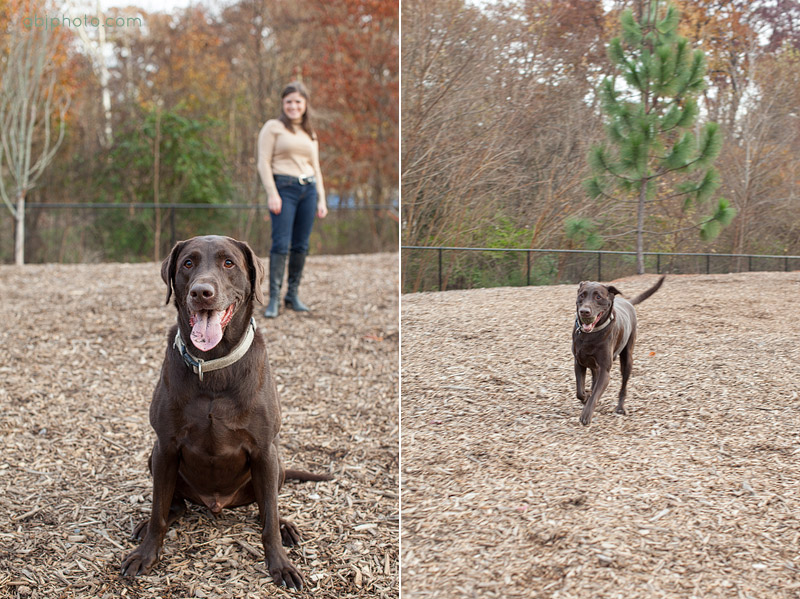 Dog Portraits Piedmont Park Atlanta | Alyssa + Winston - ABJ ...