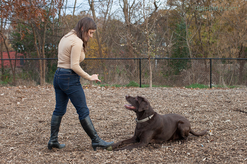 Dog Portraits Piedmont Park Atlanta | Alyssa + Winston - ABJ ...