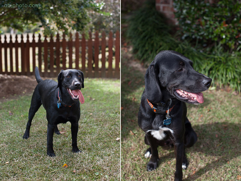 Southern Family Tradition | Thanksgiving in Fairhope, AL | Southern ...