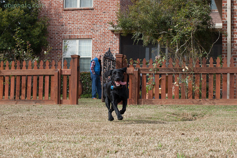 Southern Family Tradition | Thanksgiving in Fairhope, AL | Southern ...