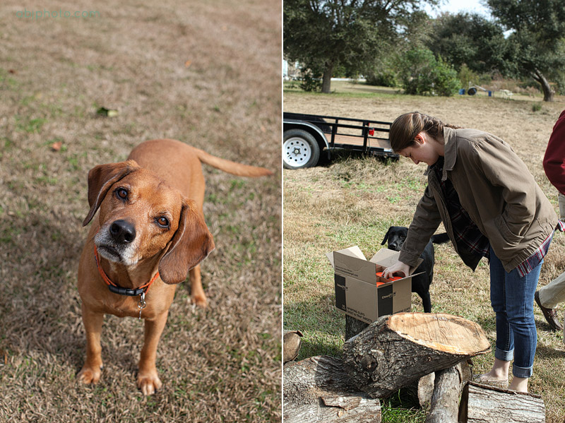 Southern Family Tradition | Thanksgiving in Fairhope, AL | Southern ...