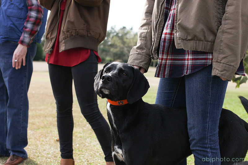 Southern Family Tradition | Thanksgiving in Fairhope, AL | Southern ...