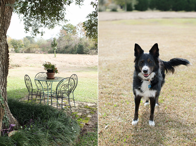 Southern Family Tradition | Thanksgiving in Fairhope, AL | Southern ...