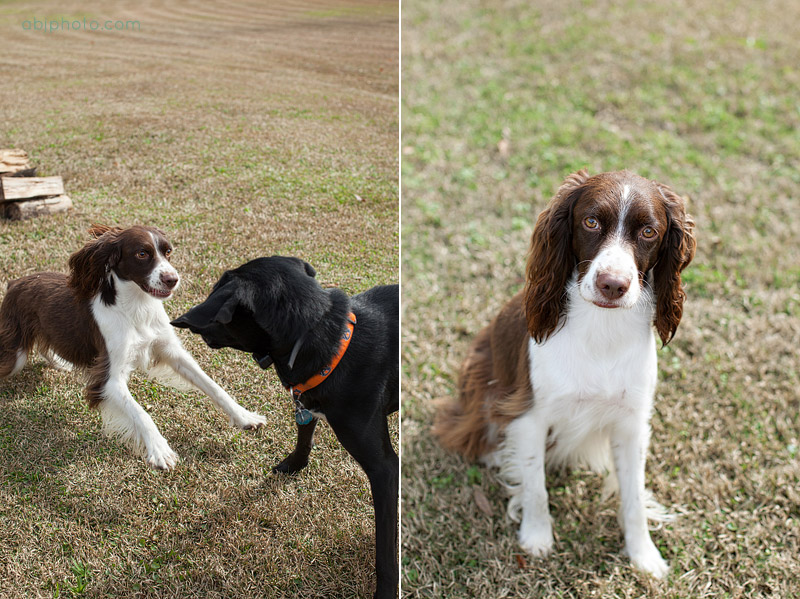 Southern Family Tradition | Thanksgiving in Fairhope, AL | Southern ...